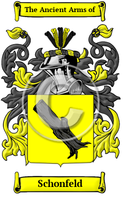 Schonfeld Name Meaning, Family History, Family Crest & Coats of Arms