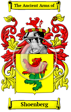 Shoenberg Name Meaning, Family History, Family Crest & Coats of Arms