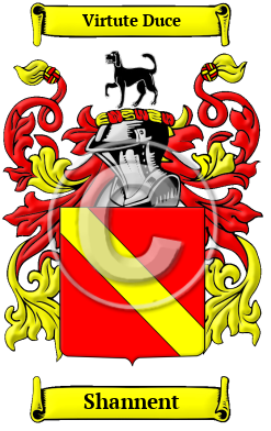 Shannent Name Meaning, Family History, Family Crest & Coats of Arms