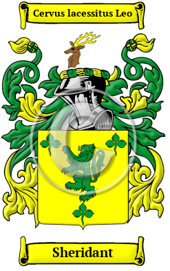 Sheridant Name Meaning, Family History, Family Crest & Coats of Arms