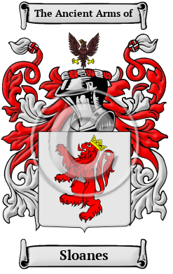Sloanes Name Meaning, Family History, Family Crest & Coats of Arms
