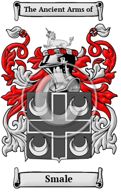 Smale Name Meaning, Family History, Family Crest & Coats of Arms