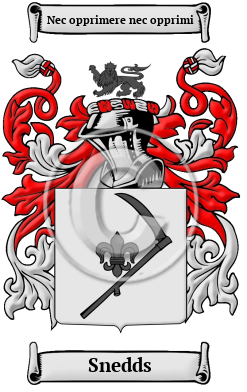 Snedds Name Meaning, Family History, Family Crest & Coats of Arms