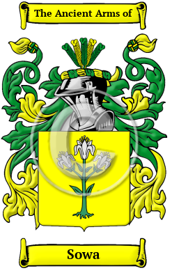 Sowa Name Meaning, Family History, Family Crest & Coats of Arms