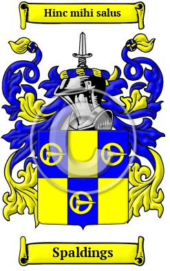 Spaldings Name Meaning, Family History, Family Crest & Coats of Arms