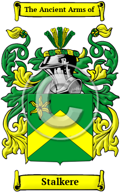 Stalkere Name Meaning, Family History, Family Crest & Coats of Arms
