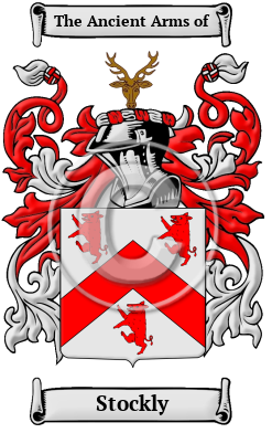 Stockly Name Meaning, Family History, Family Crest & Coats of Arms