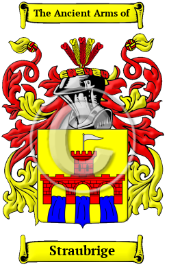 Straubrige Name Meaning, Family History, Family Crest & Coats of Arms