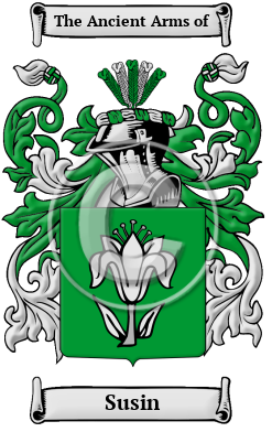 Susin Name Meaning, Family History, Family Crest & Coats of Arms