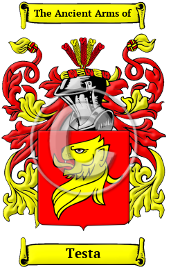 Testa Name Meaning, Family History, Family Crest & Coats of Arms