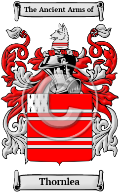 Thornlea Name Meaning, Family History, Family Crest & Coats of Arms