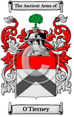 O'Tierney Name Meaning, Family History, Family Crest & Coats of Arms