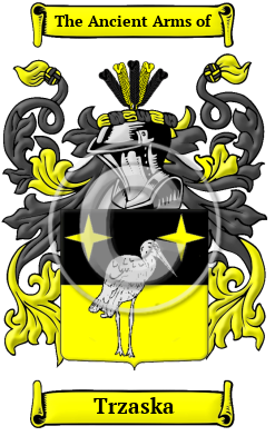 Trzaska Name Meaning, Family History, Family Crest & Coats of Arms