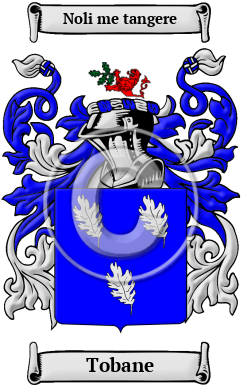 Tobane Name Meaning, Family History, Family Crest & Coats of Arms
