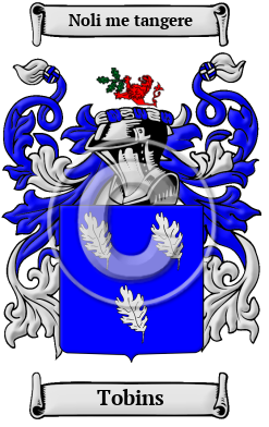 Tobins Name Meaning, Family History, Family Crest & Coats of Arms