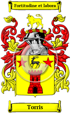 Torris Name Meaning, Family History, Family Crest & Coats of Arms