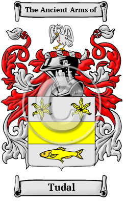 Tudal Name Meaning, Family History, Family Crest & Coats of Arms