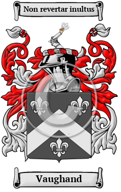 Vaughand Name Meaning, Family History, Family Crest & Coats of Arms