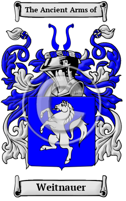 Weitnauer Name Meaning, Family History, Family Crest & Coats of Arms