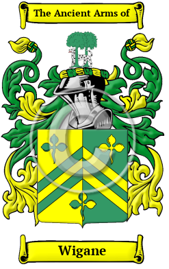 Wigane Name Meaning, Family History, Family Crest & Coats of Arms