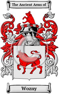 Wozny Name Meaning, Family History, Family Crest & Coats of Arms