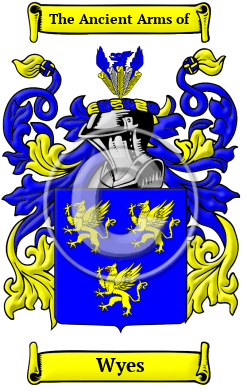 Wyes Name Meaning, Family History, Family Crest & Coats of Arms