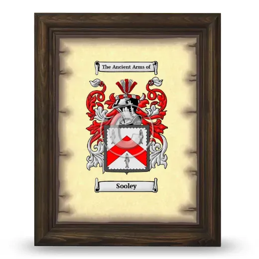 Sooley Coat of Arms Framed - Brown | HouseOfNames.com