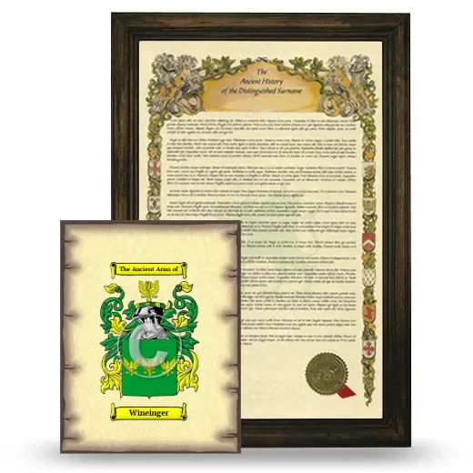 Wineinger Framed History and Coat of Arms Print - Brown | HouseOfNames.com