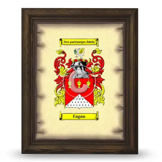 Fagan Coat of Arms Framed - Brown | HouseOfNames.com